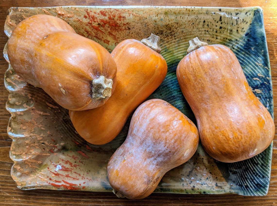 Stuffed Mini Squash for a Sumptuous Vegan Thanksgiving - Aglaia's Table ...